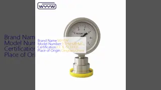 Industrial Diaphragm Pressure Gauge Durable and Precise