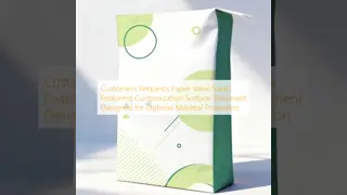 Custom Industrial Kraft Paper Valve Bags for Powder Storage