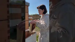 What Happens to the Frames After Honey Harvest
