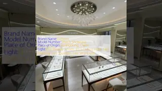 Luxury Minimalist Jewelry Display Case for Retail Stores