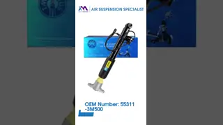 Tech Master TMAIRSUS air suspension kit with EDC for Hyundai Equus
