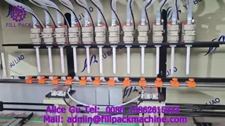 2348 J66 Self-flowing Anti-corrosion 12-head Filling Machine