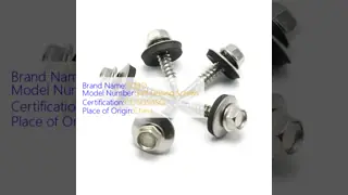 Best Hex Washer Self Drilling Roofing Screws for Metal Roofs