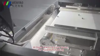 AI Deep Learning Color Sorter for Hazelnuts