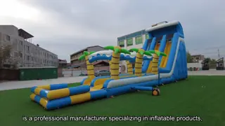Commercial Tropical Dual Lane Water Slide for Rental Biz
