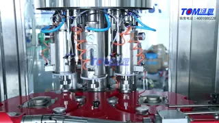 Automatic Vacuum Capping Machine