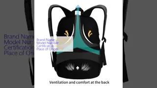 Custom Anti Theft Business Laptop Backpack with Lock