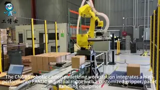 CNGBS robotic solution palletizing material handling