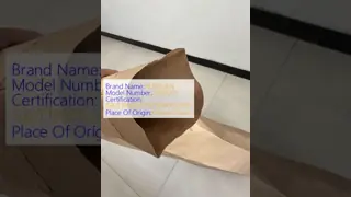 Durable Kraft Paper Valve Bags for Industrial Packaging