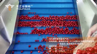 TOUPACK Cherry Tomato Weighing & Packing Line ????