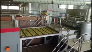 High Speed Automatic Egg Tray Making Machine Solution