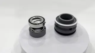 See Why Choose SIC SIC FKM  Mechanical Seal 22MM Suitable For Fristam FKL Pump