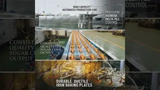 Fully Automatic Sugar Cone Production Line 6500pcs Per Hour