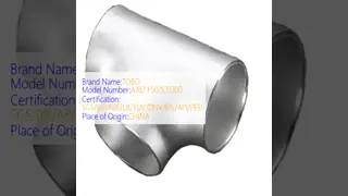 Super Duplex Steel Barred Tee ASME B16.9 High Performance