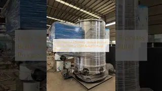 High Efficiency DZH Biomass Boiler for Industrial Use