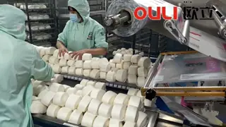 Automated Steamed Bun Packaging Machine High Speed Solution