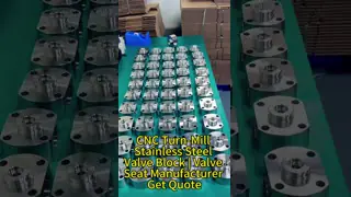 CNC Turn‑Mill Stainless Steel Valve Block | Valve Seat Manufacturer Get Quote