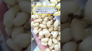 How to Make Blanched Peanut Kernels | Air Peanut Peeling Machine  #processing #peeling #peanut