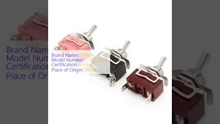 CHSKY ETEN1321 15A DPDT Toggle Switch Review