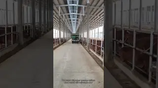 Electric Feed Spreader for Cattle & Sheep Barn, Narrow Passage Low Profile Design