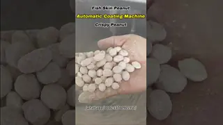 Fish Skin Peanuts/Japanese beans Making Machine-Automatic Coating Machine