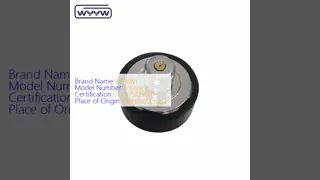 Mini 25mm Pressure Gauge for PCP Pneumatics