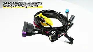 Snowwolf 24 Pin ECU Wiring Harness Reliable Automotive Tech