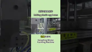 Plastic Egg Carton Thermoforming Machine | 2-Piece Egg Box Production | Hengxing