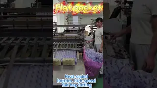 Custom PE Flat Open Top Plastic Bags | Source Factory for Apparel Packaging