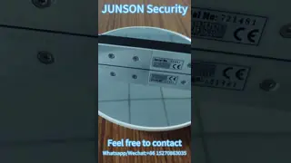 JS 350D 800lbs Double Door Magnetic Lock System