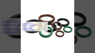 Premium FKM Rubber Seals High Heat Chemical Resistance