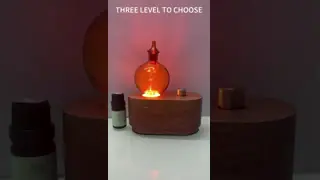 Elegant Mini Home Fragrance Diffuser Aromatherapy Solution