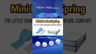Premium Sofa Pocket Springs