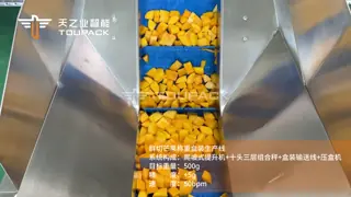 Automatic Diced Mango Weighing & Boxing Line | 50 Boxes/Min | TOUPACK