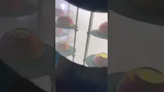 PVD Coating Process for Rainbow Stainless Steel Bowls