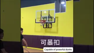 Pro Wall Mounted Basketball Hoop for Home Gyms