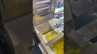 Automatic Vertical Packaging Machine with Metal Detector