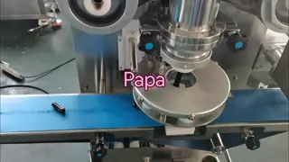 Papa Spiral Type Cookie Biscuit P170 Automatic Encrusting Machine Double Filling Demo