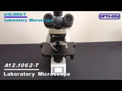 Binocular LCD Compound Optical Microscope Bright Field For Laboratory