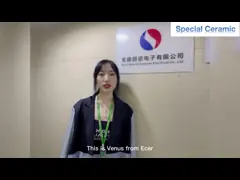 Wuxi Special Ceramic Electrical Co., Ltd. - Fertigung von Keramik. Я также отвечаю за использование химических продуктов.