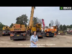 Mobile Zoomlion Used Truck Cranes 55/130/260 Ton Second Hand