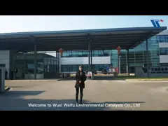 Wuxi Weifu Environmental Catalysts Co., Ltd. - Catalyst Supplier
