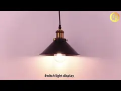 Bulb Base E26 Nordic Pendant Light Iron 40W Single Head For Restaurant
