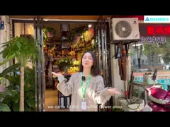 High Density Gift Wrap Organza Tulle Rolls Hot Stamped Pattern for Decoration