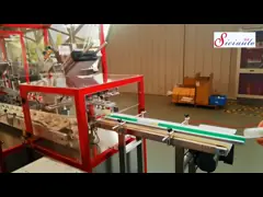 PLC Automatic Control Cartoner Packaging Machine Multi Head Feeding For Bottle