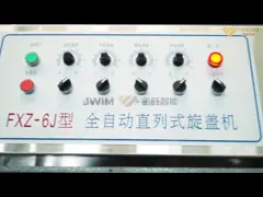 6000BPH/7000BPH Horizontal Automatic Capping Machine for 80ml-1000ml Bottle