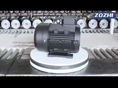 Induction Hollow Shaft Motor 3 Phase 1430RPM IP54 For Cleaning Machine