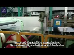 JIS Steel Tin Plate Cold Rolled Mild 0.14-1.0mm Thickness MR T3 ETP For Cans