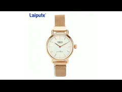 Gold Stainless Steel Quartz Wrist Watch OpaqueMesh Strap Simple Couple