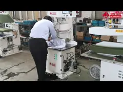 Vertical Clothes Steam Press Machine Electric Heat Automatic For Arm Hole